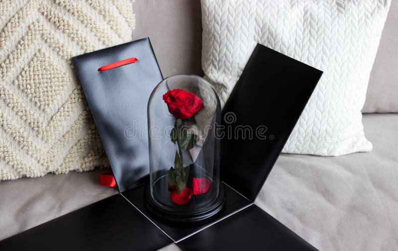 Red Rose in a Black Box As a Gift, a Durable Rose in a Flask. Preserved ...