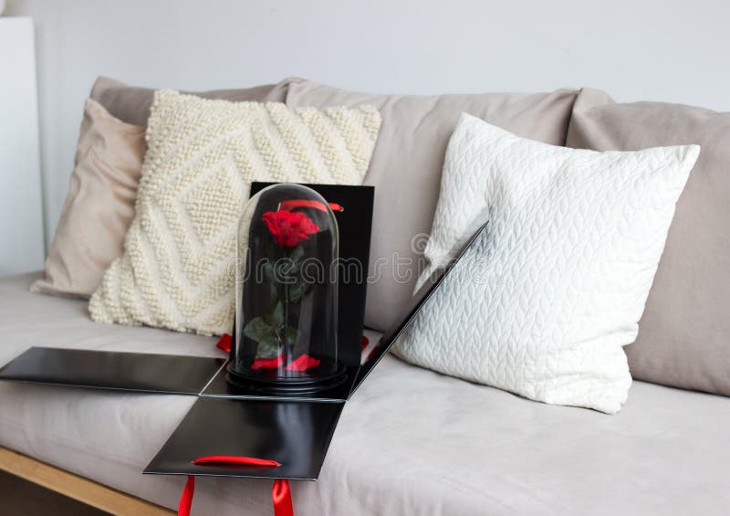 Red Rose in a Black Box As a Gift, a Durable Rose in a Flask. Preserved ...