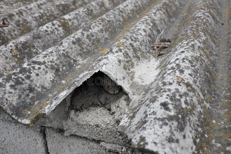 Eternit Dach Obrazy Stockowe - Pobierz 37 Zdjęcia Royalty Free