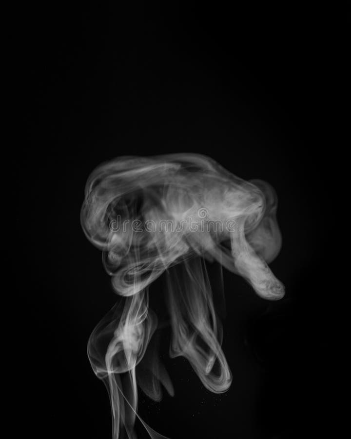 Ethereal Smoke Swirling Gracefully in the Air Creating Abstract Shapes ...