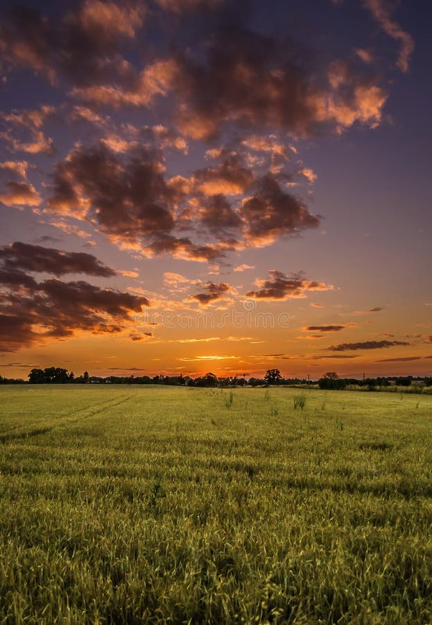 Ethereal Sunset stock image. Image of field, landscape - 57275189
