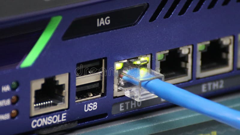 Ethernet Cable Connected To a Gigabit Network Switch, Showing Active ...
