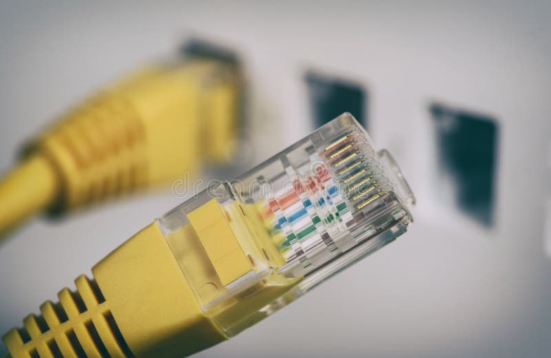 Ethernet Cable and Network Connector Stock Photo - Image of digital ...