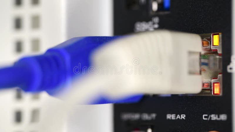 Ethernet Cable RJ45 Connected To the Personal Computer Stock Video ...