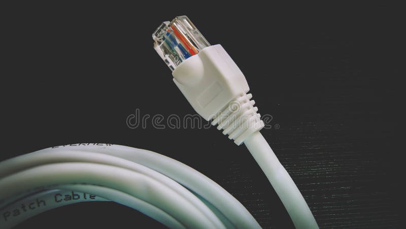 Head of Lan connector stock image. Image of isolated - 19443283