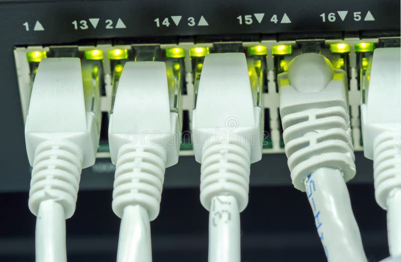 UTP ethernet cables stock photo. Image of patch, blue - 50071880