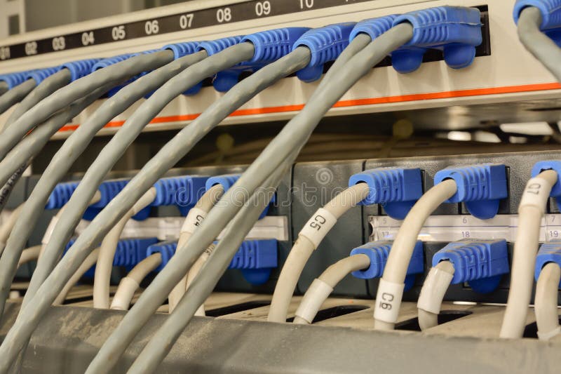 Ethernet Cables Connected To Computer Internet Server Stock Photo ...