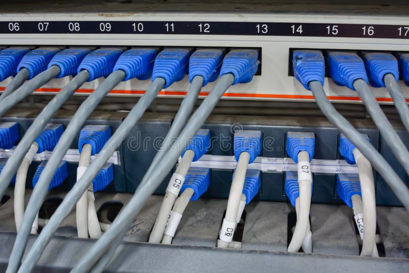 Ethernet Cables Connected To Computer Internet Server Stock Photo ...