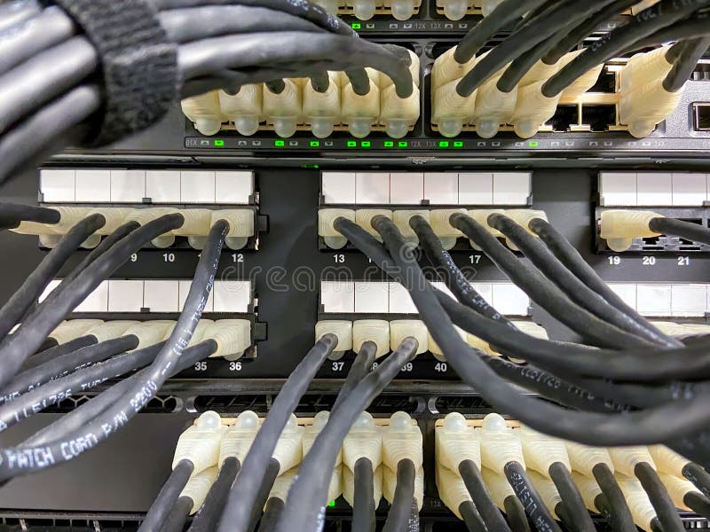 Ethernet Cables Connected To the Network Equipment Stock Image - Image ...