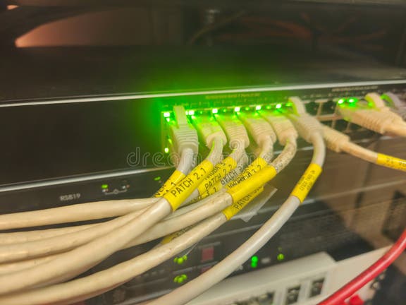 Ethernet Cables are Connected To a Network Switch with Green LED ...