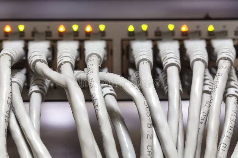Ethernet Cables Connected To Switch Stock Photo - Image of server ...