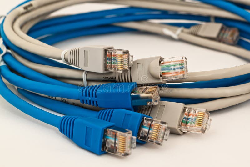 Ethernet Cables Isolated On White Background. Picture Image: 16854607