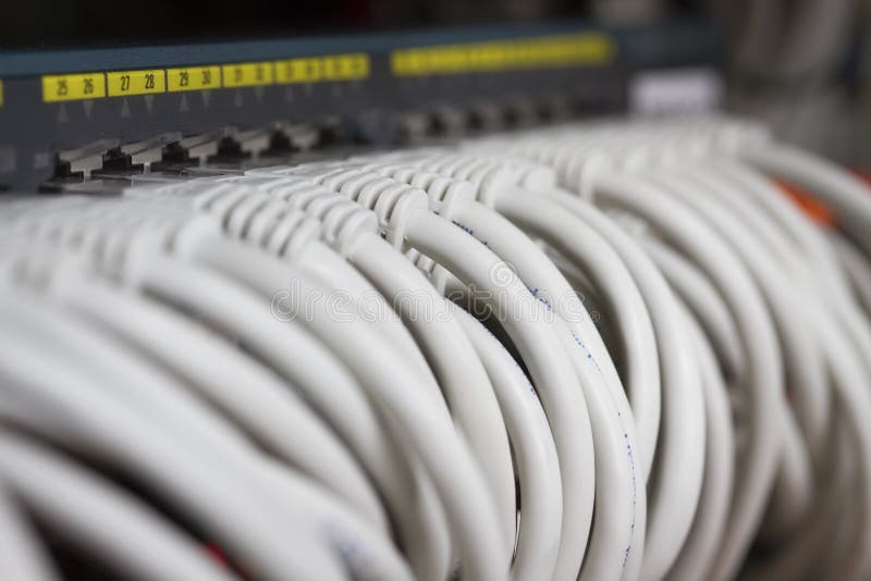 Ethernet Cables in Network Switch Stock Photo - Image of gray, center ...