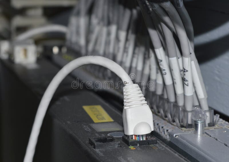 Ethernet Hub with Plugged in Cable Stock Image - Image of wire, close ...