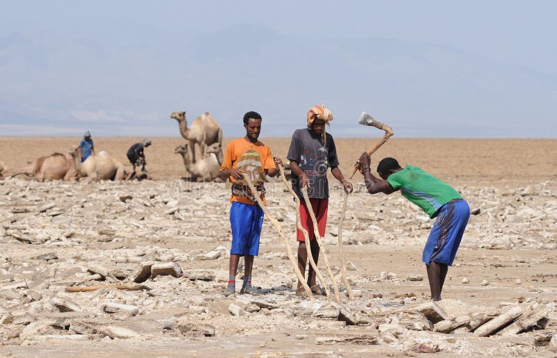 Ethiopische zoute caravan redactionele stock foto. Image of ...