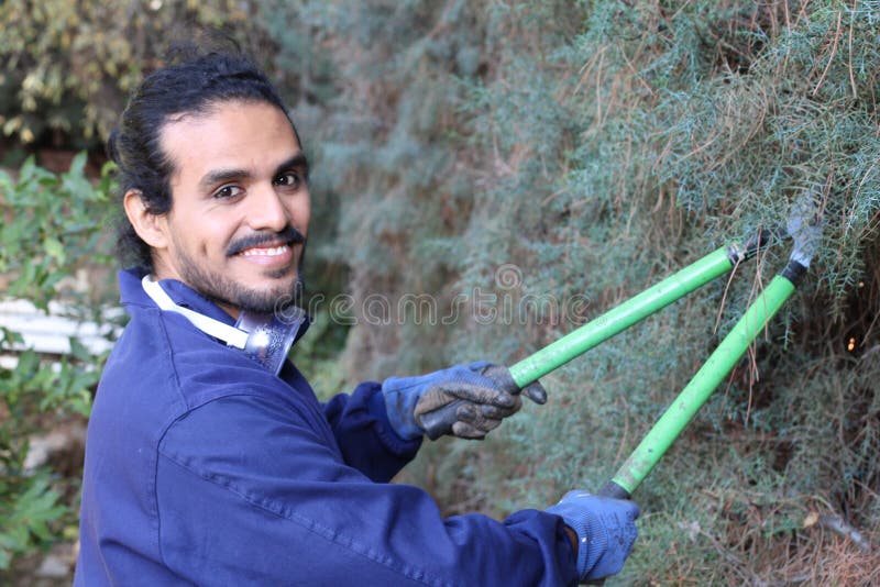 Trim Bush Bnude Sexy Stock Photos - Free & Royalty-Free Stock Photos ...