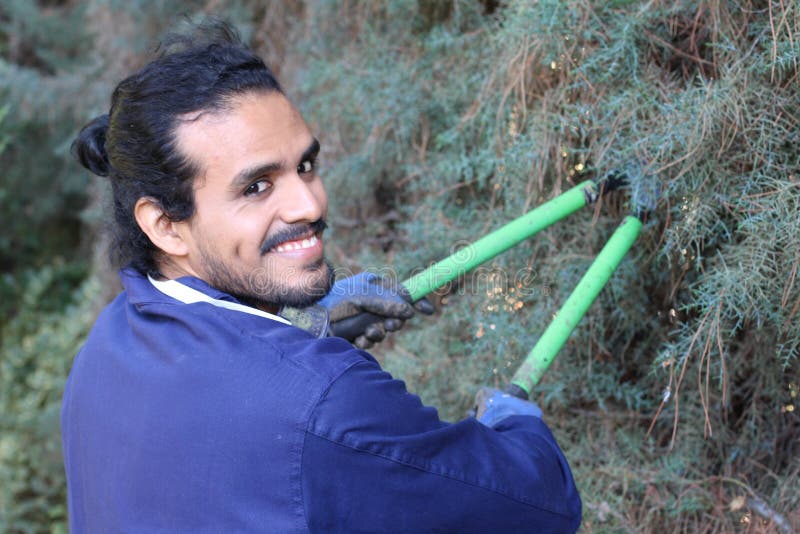 Trim Bush Bnude Sexy Stock Photos - Free & Royalty-Free Stock Photos ...