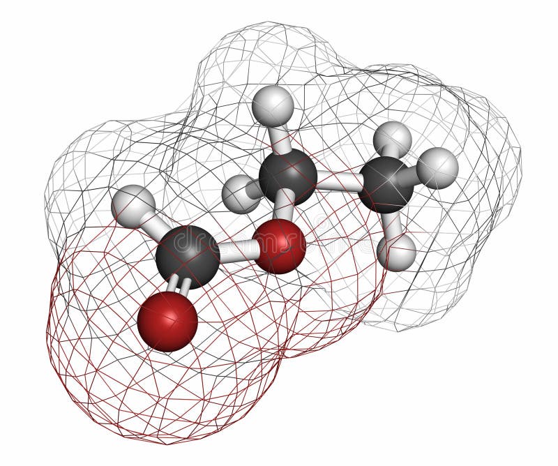 Ethyl Formate Molecule 3d, Molecular Structure, Ball and Stick Model ...