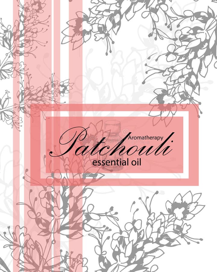 Etiket Voor Etherische Olie Van Patchoeli Vector Illustratie ...