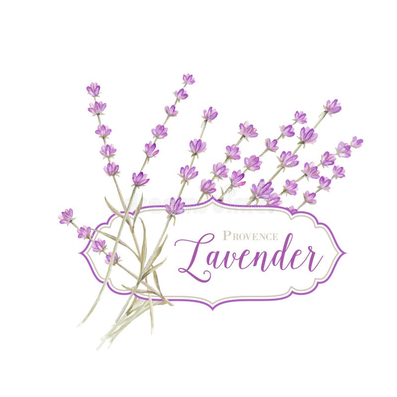 Etiqueta con lavanda ilustración del vector. Ilustración de retro ...