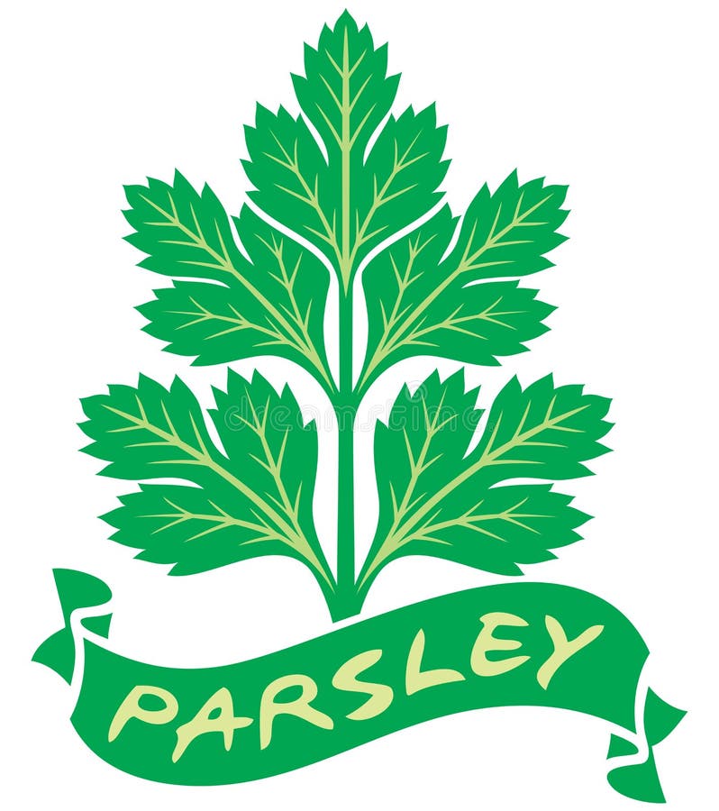 Etiqueta del perejil ilustración del vector. Ilustración de cocinero ...