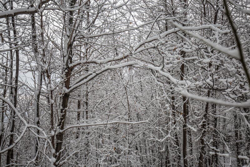 Etna Volcano in Winter with Snow - Volcano Etna Park, Sicily Stock ...