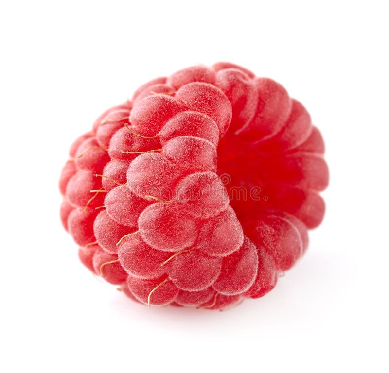 Ett hallon arkivfoto. Bild av natur, makro, dricka, färg - 58569810