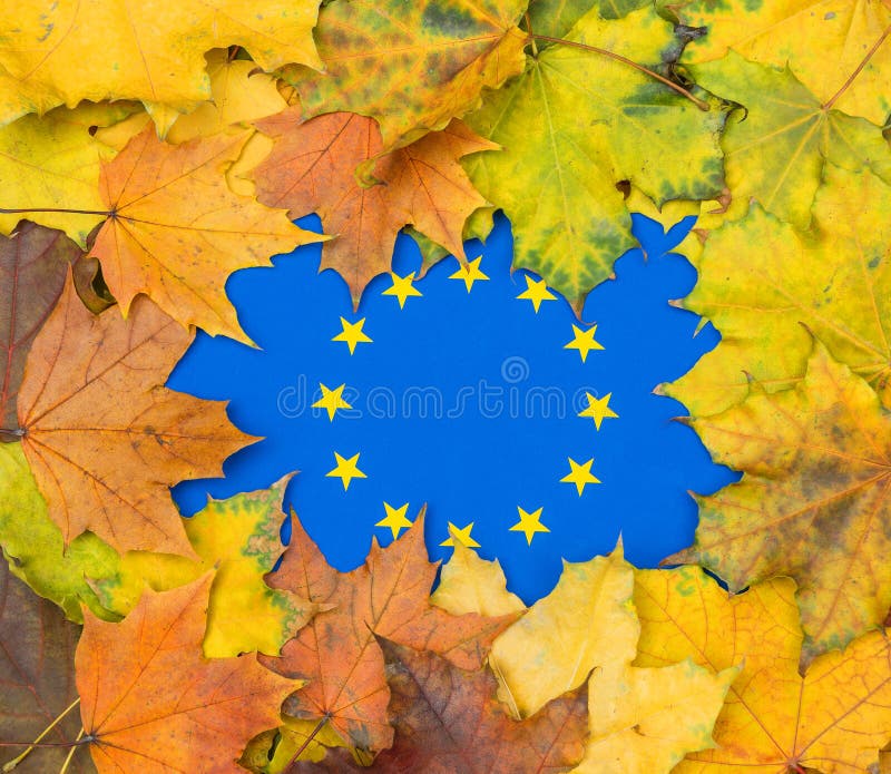 EU Flag Buried in Yellow Maple Leaves. Stock Image - Image of brussels ...