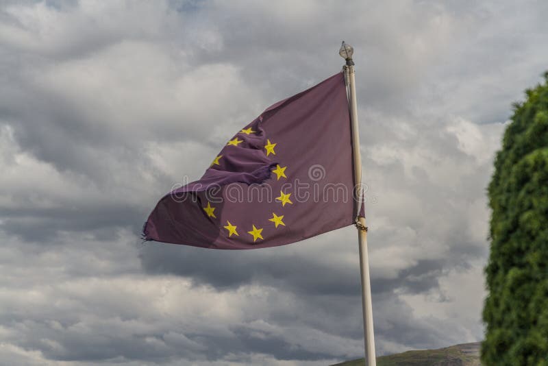 EU flag flying on pole stock image. Image of institution - 146238231