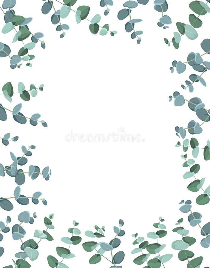 Eucalyptus Border Pattern on White Background. Flat Tropic Border Stock ...