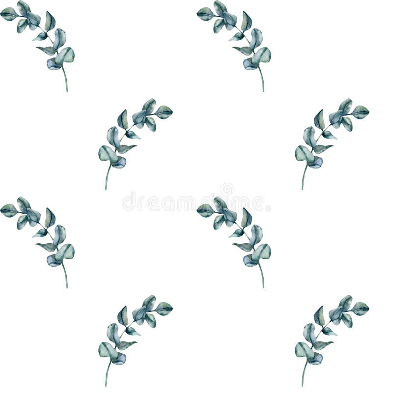 Eucalyptus Branches with Fresh Green Leaves Seamless Pattern. Hand ...