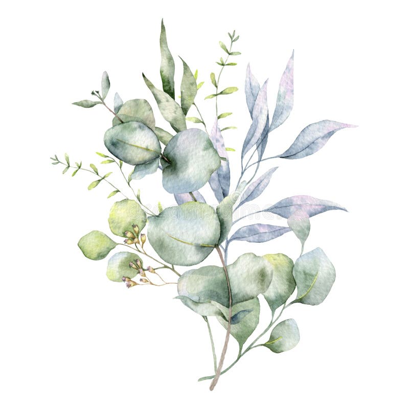 Eucalyptus Branches Watercolor, Floral Frame, Greenery Frame, Floral ... Eucalyptus Branches Watercolor, Floral Frame, Greenery Frame, Floral ...