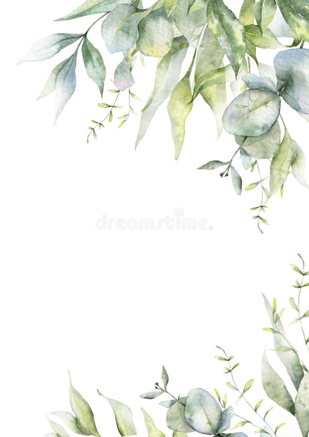 Eucalyptus Branches Watercolor, Floral Frame, Greenery Frame, Floral ... Eucalyptus Branches Watercolor, Floral Frame, Greenery Frame, Floral ...