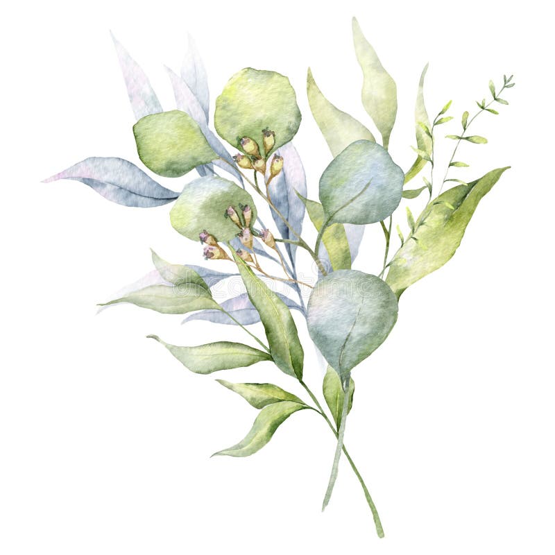Eucalyptus Branches Watercolor, Floral Frame, Greenery Frame, Floral ... Eucalyptus Branches Watercolor, Floral Frame, Greenery Frame, Floral ...