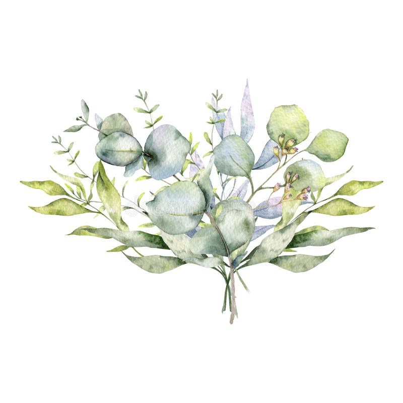 Eucalyptus Branches Watercolor, Floral Frame, Greenery Frame, Floral ... Eucalyptus Branches Watercolor, Floral Frame, Greenery Frame, Floral ...