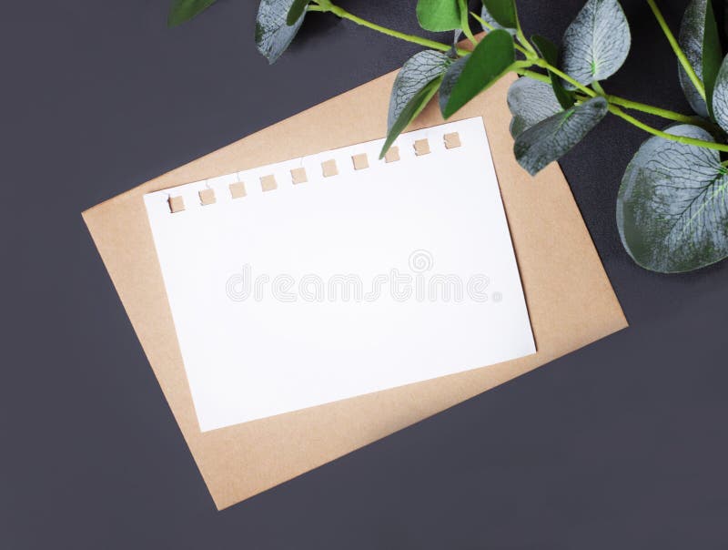 Eucalyptus Leaves, an Envelope and a White Blank Card with a Place To ...