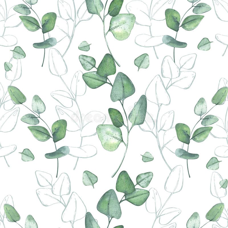Eucalyptus Seamless Pattern. Branches of Greenery Stock Illustration ...