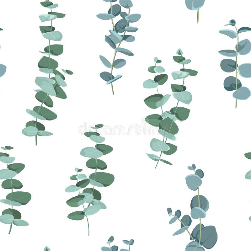 Eucalyptus Seamless Pattern in Rustic Style on White Background ...