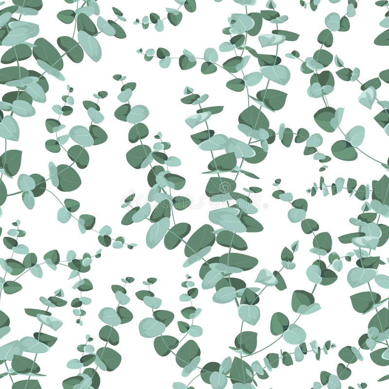 Eucalyptus Seamless Pattern in Rustic Style on White Background ...