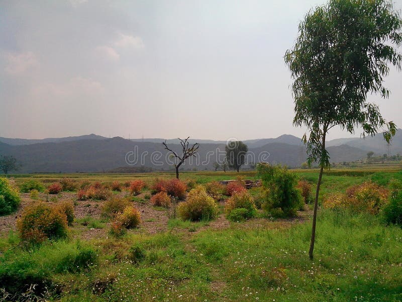 Salth Range Stock Photos - Free & Royalty-Free Stock Photos from Dreamstime