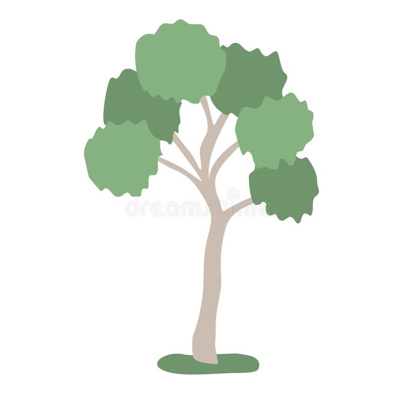 Eucalyptus Tree Icon Flat Style Vector Illustration Stock Illustration ... Eucalyptus Tree Icon Flat Style Vector Illustration Stock Illustration ...