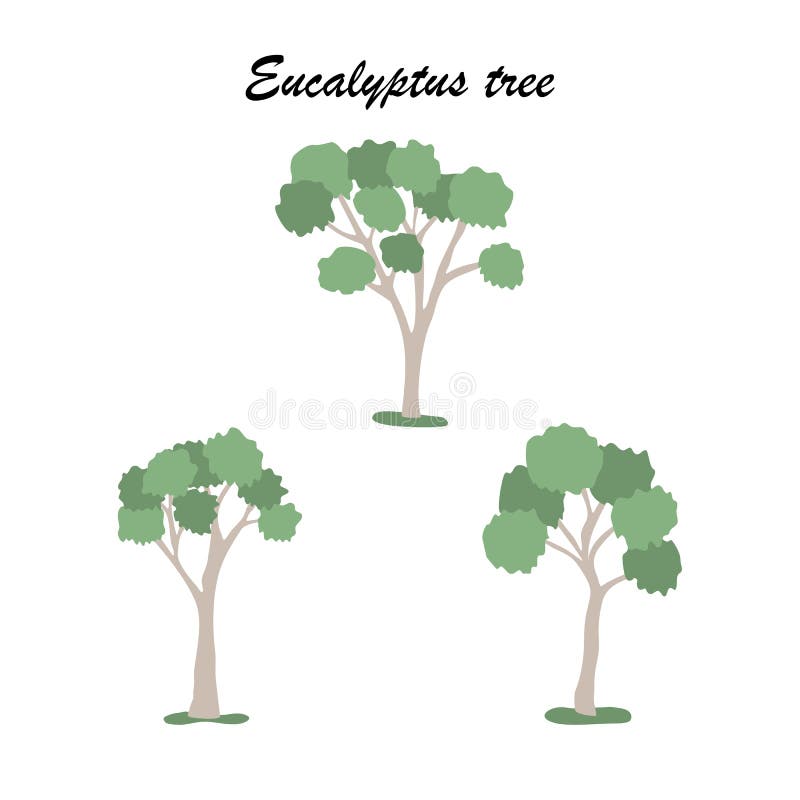 Eucalyptus Tree Icon Set, Flat Style Vector Stock Vector - Illustration ...