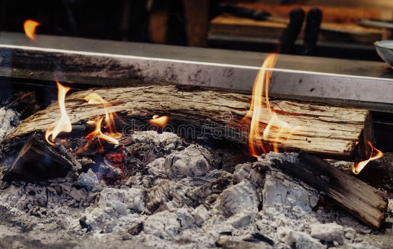 Eucalyptus Trunk Burning on the Grill Stock Image - Image of blazing ...