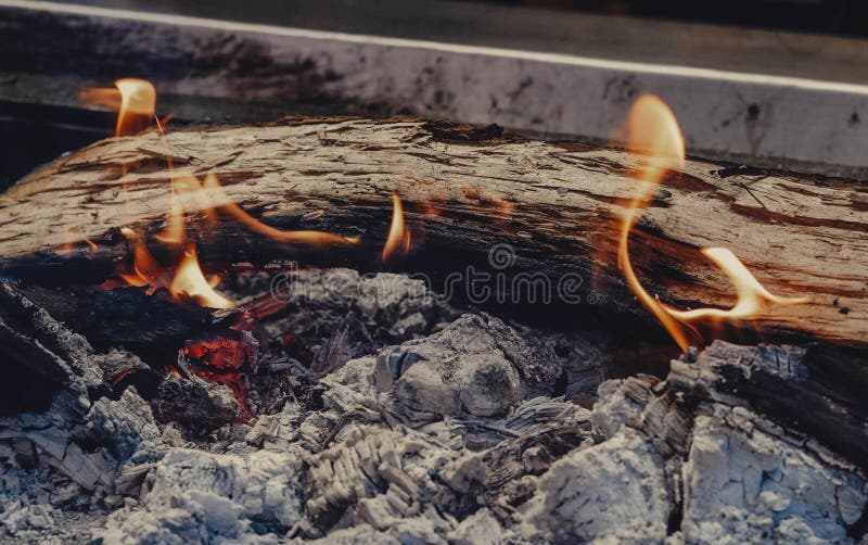 Eucalyptus Trunk Burning on the Grill Stock Image - Image of flame ...