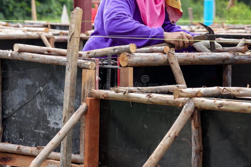 Eucalyptus Wood Used To Support Labours and Blurred Construction Worker ...