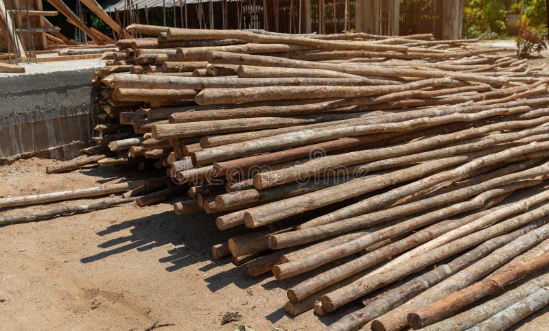 Eucalyptus Wood Used To Support Labours and Material in the ...