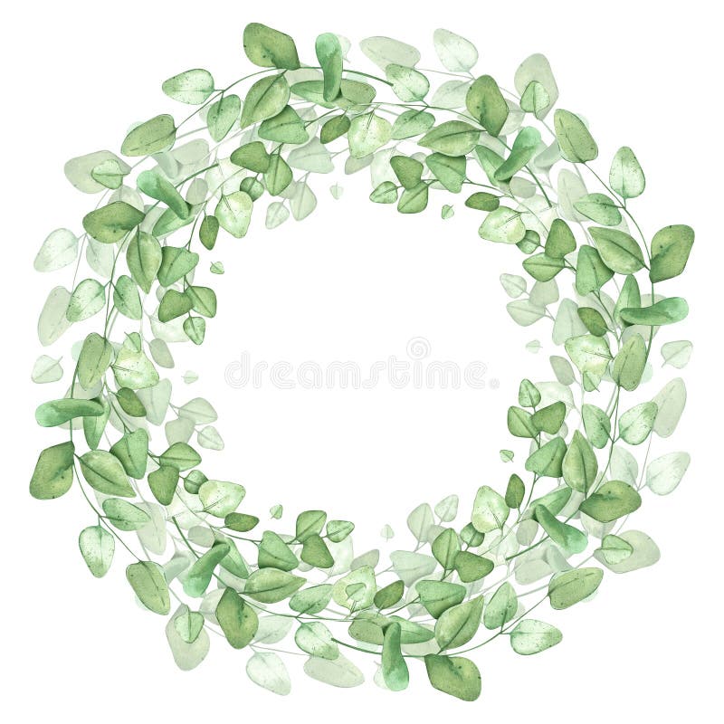 Eucalyptus Wreath. Green Round Frame for Rustic Background. Circle ...