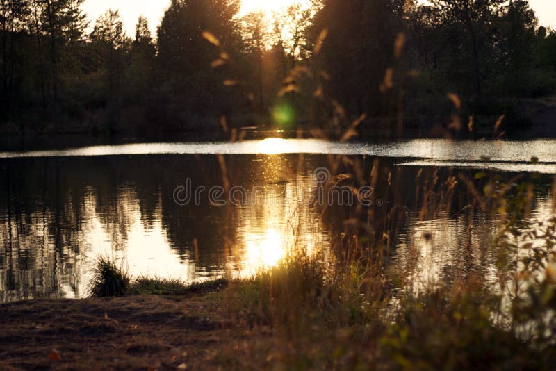 Eugene, Oregon stock image. Image of sunset, summer, eugene - 65803139