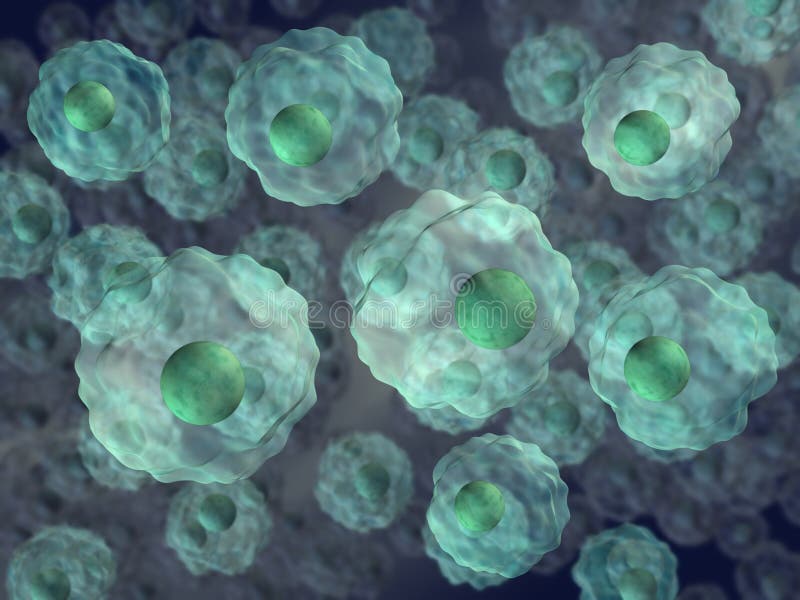 Eukaryotic cells stock illustration. Illustration of cellular - 13477667