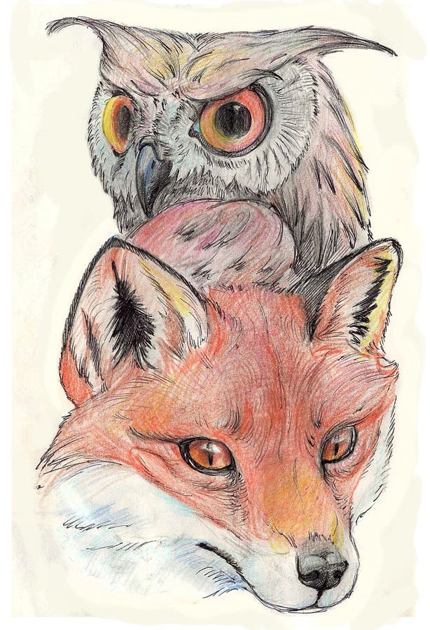 Eule und Fuchs stock abbildung. Illustration von bleistifte - 49489374